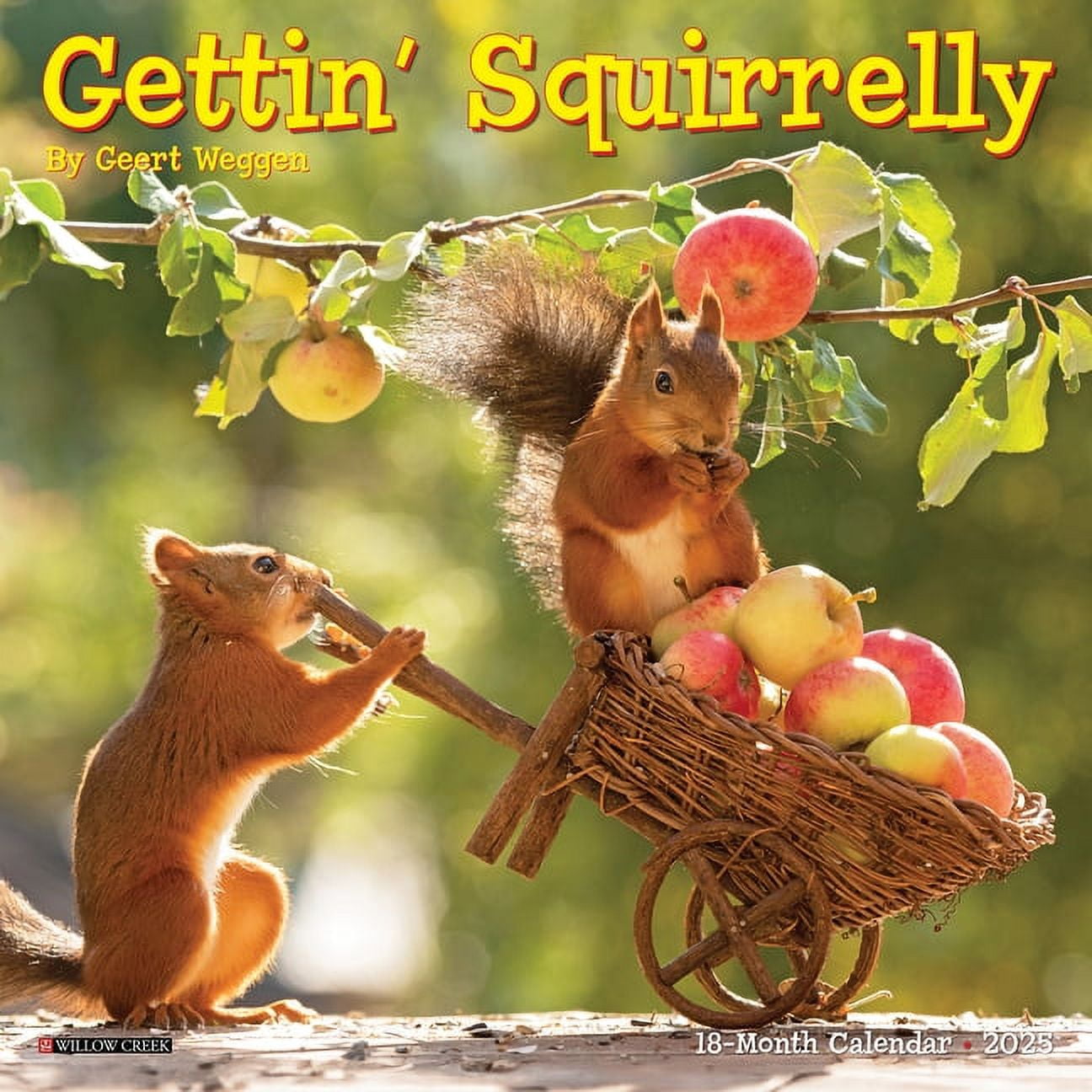 Gettin' Squirrelly 2026 7 X 7 Mini Wall Calendar, (Hardcover) - Walmart.com
