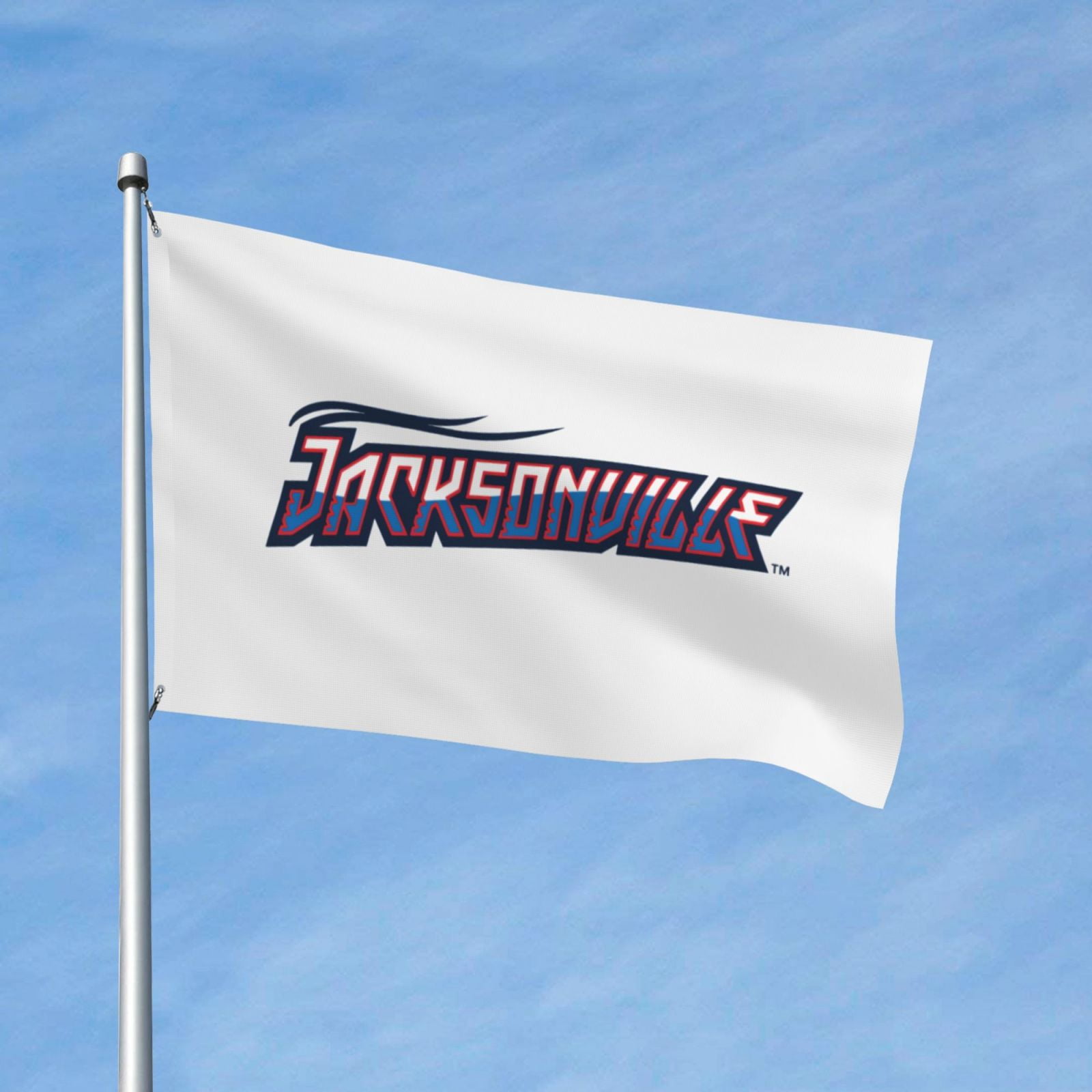 Jacksonville Jumbo Shrimp Banner 3x5 Ft Flag,Double Sided Printed Flag ...