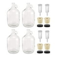 Gexandy - 1G-38-ST-3P-4 1 Gallon Glass Fermenting Jug with Handle, 6.5 ...