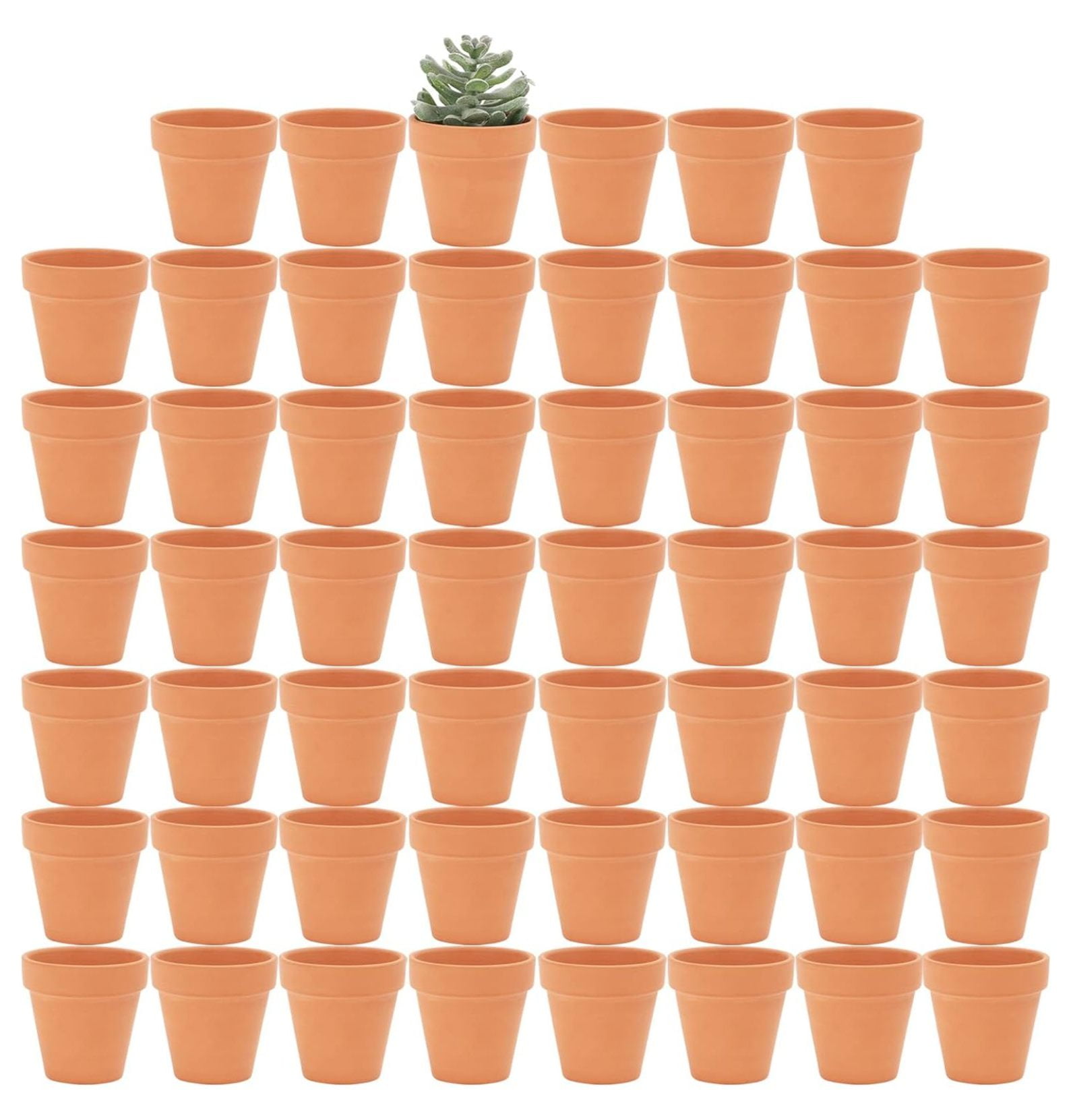 Gexandy 2 inch Small Terracotta Pots with Drainage Holes,Mini Clay ...
