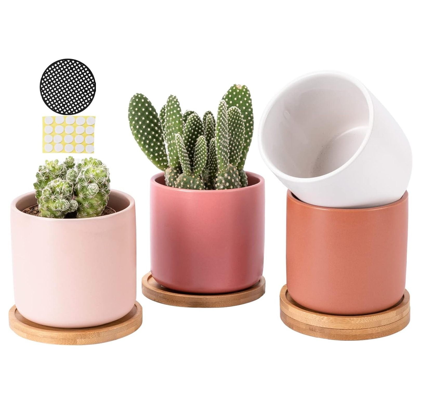 Gexandy 4 Inch Ceramic Cylinder Plant Pots with Drainage Holes and ...
