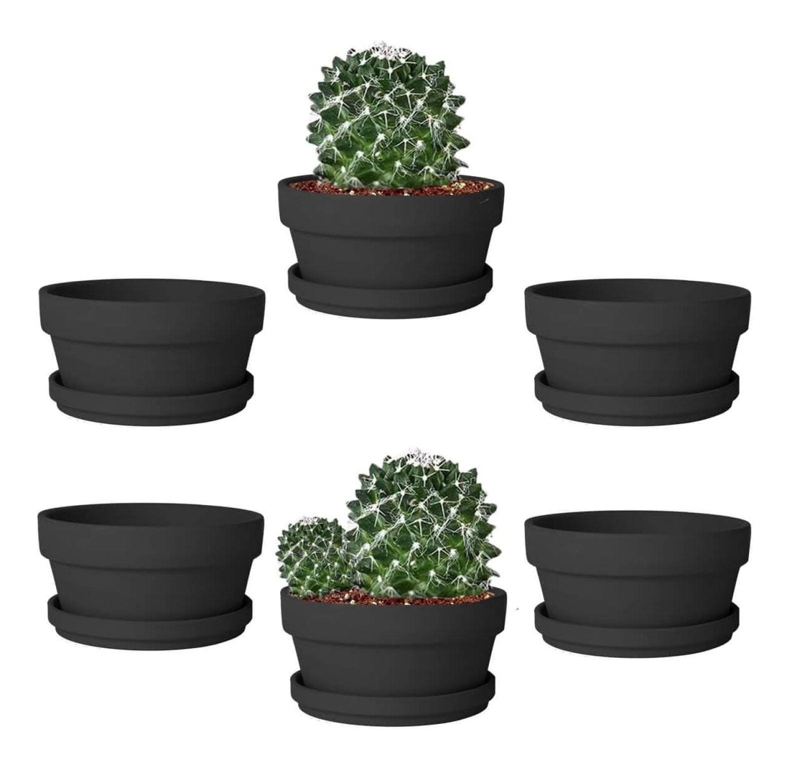 Gexandy 5.7 Inch Black Terracotta Shallow Succulent Pot - 6 Pack Terra ...
