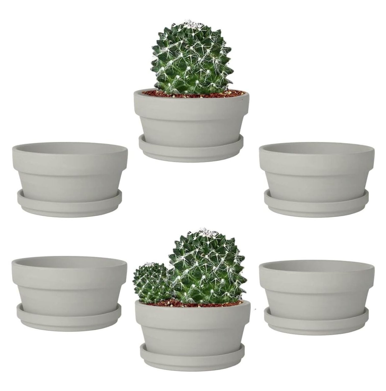 Gexandy 5.7 Inch Grey Terracotta Shallow Succulent Pot - 6 Pack Terra ...
