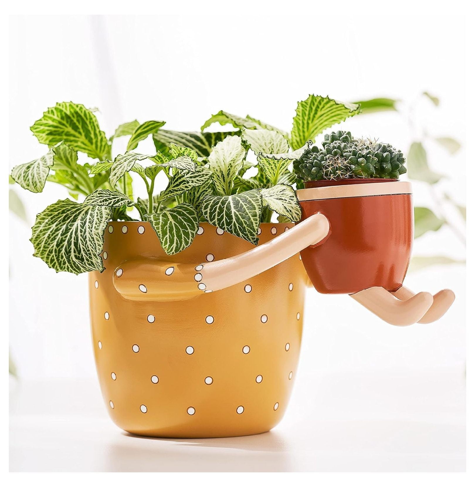 Gexandy Adorable Indoor Plant Pots. 5" Flower Pot & 2" Small Pot with ...
