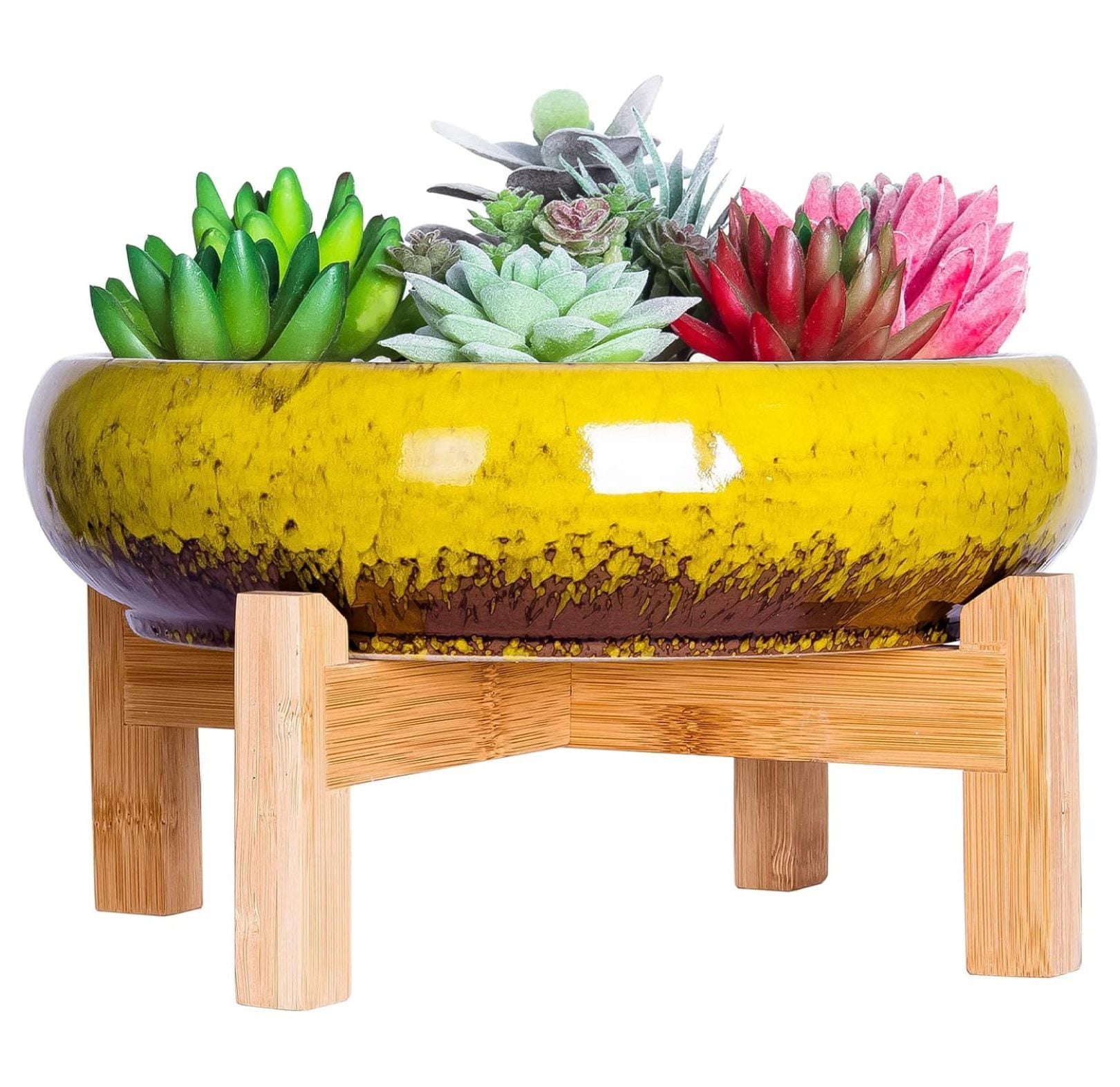 Gexandy Large Succulent Pot with Drainage, 10 Inch Round Succulent ...