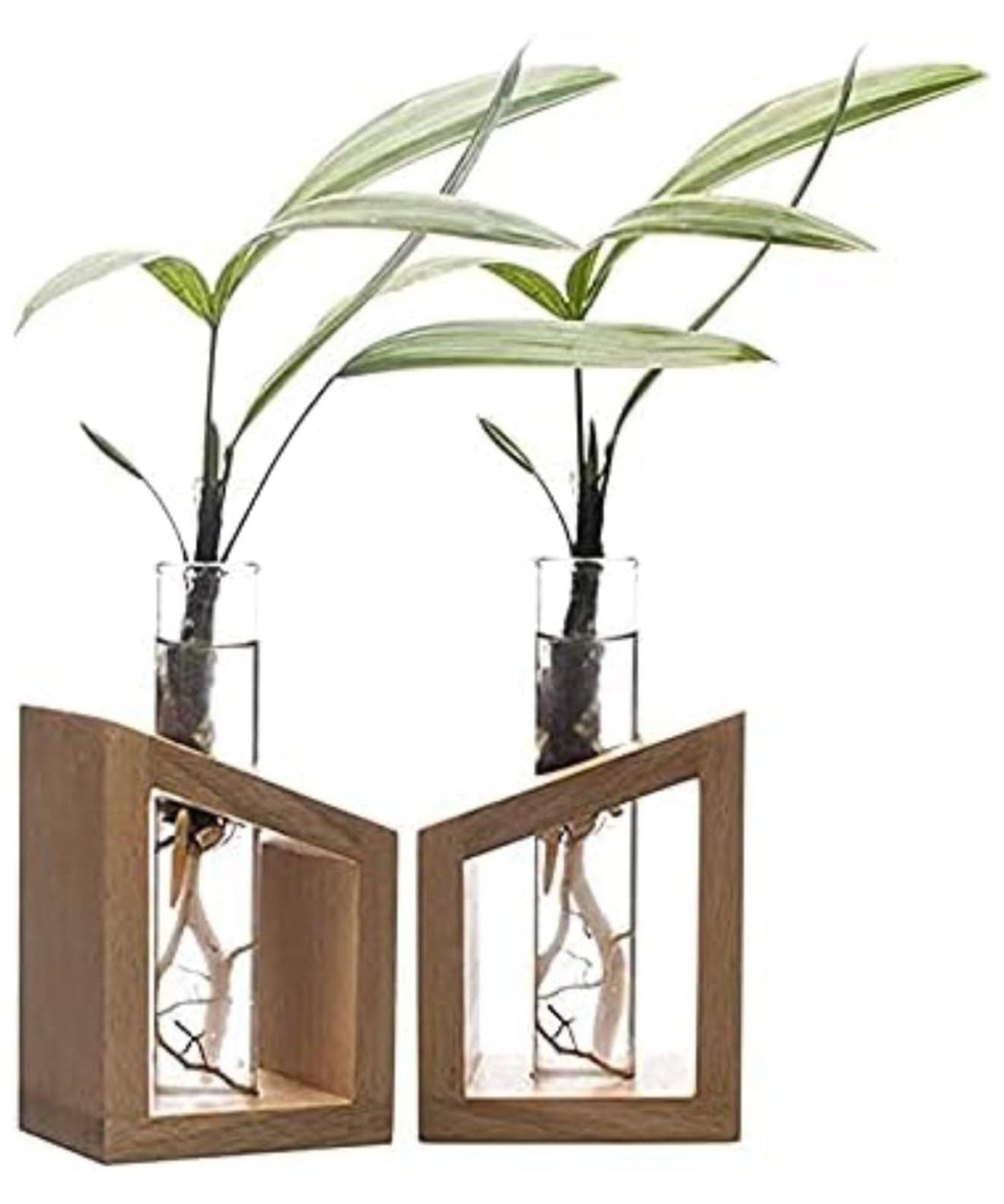 Gexandy Plant Propagation Station Stands, Set of 2 - Test Tube Plant ...