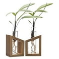 Gexandy Plant Propagation Station Stands, Set of 2 - Test Tube Plant ...