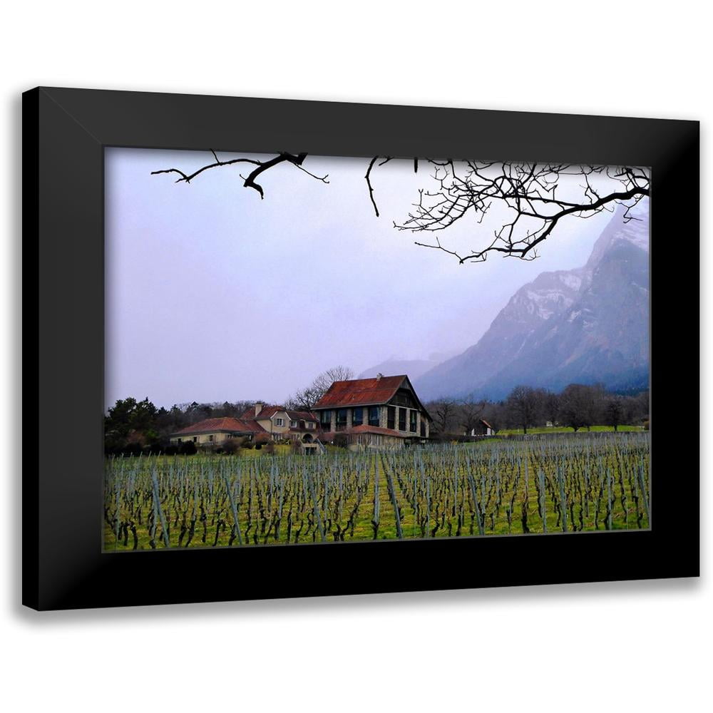 Ghanooni, Sarah 14x12 Black Modern Framed Museum Art Print Titled ...