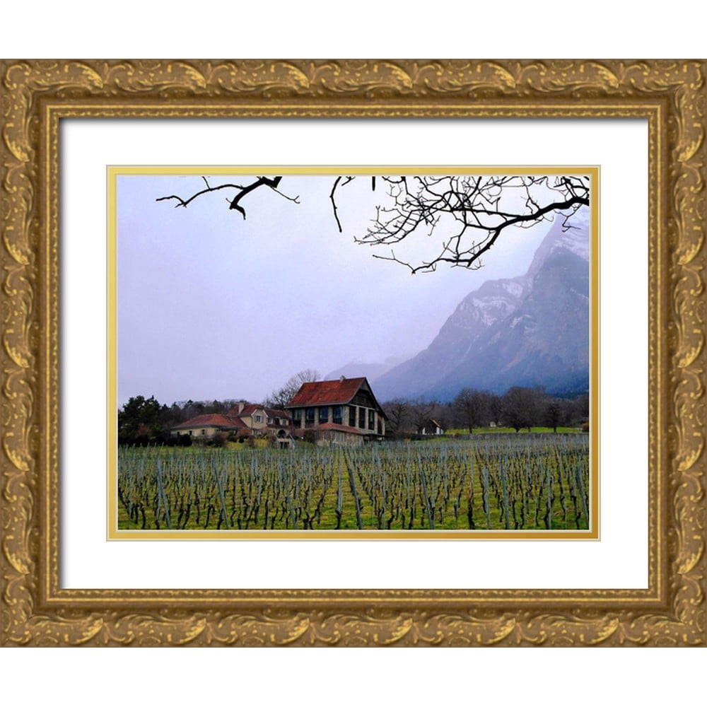 Ghanooni, Sarah 24x19 Gold Ornate Wood Framed with Double Matting ...
