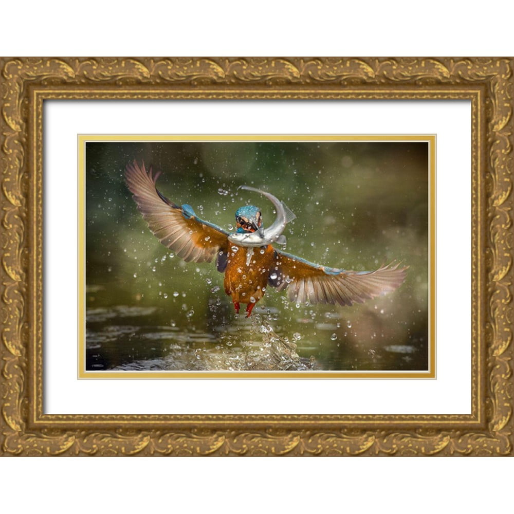 Ghizzi Panizza, Alberto 32x23 Gold Ornate Wood Framed with Double ...