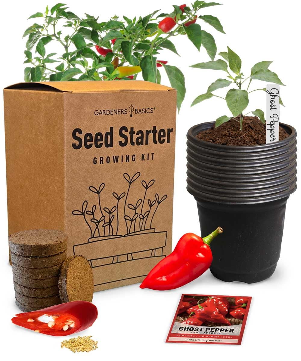 Ghost Pepper Seed Starter Kit - MVR1 Grow Your Own Jolokia Peppers - Non-GMO Heirloom Seeds ...