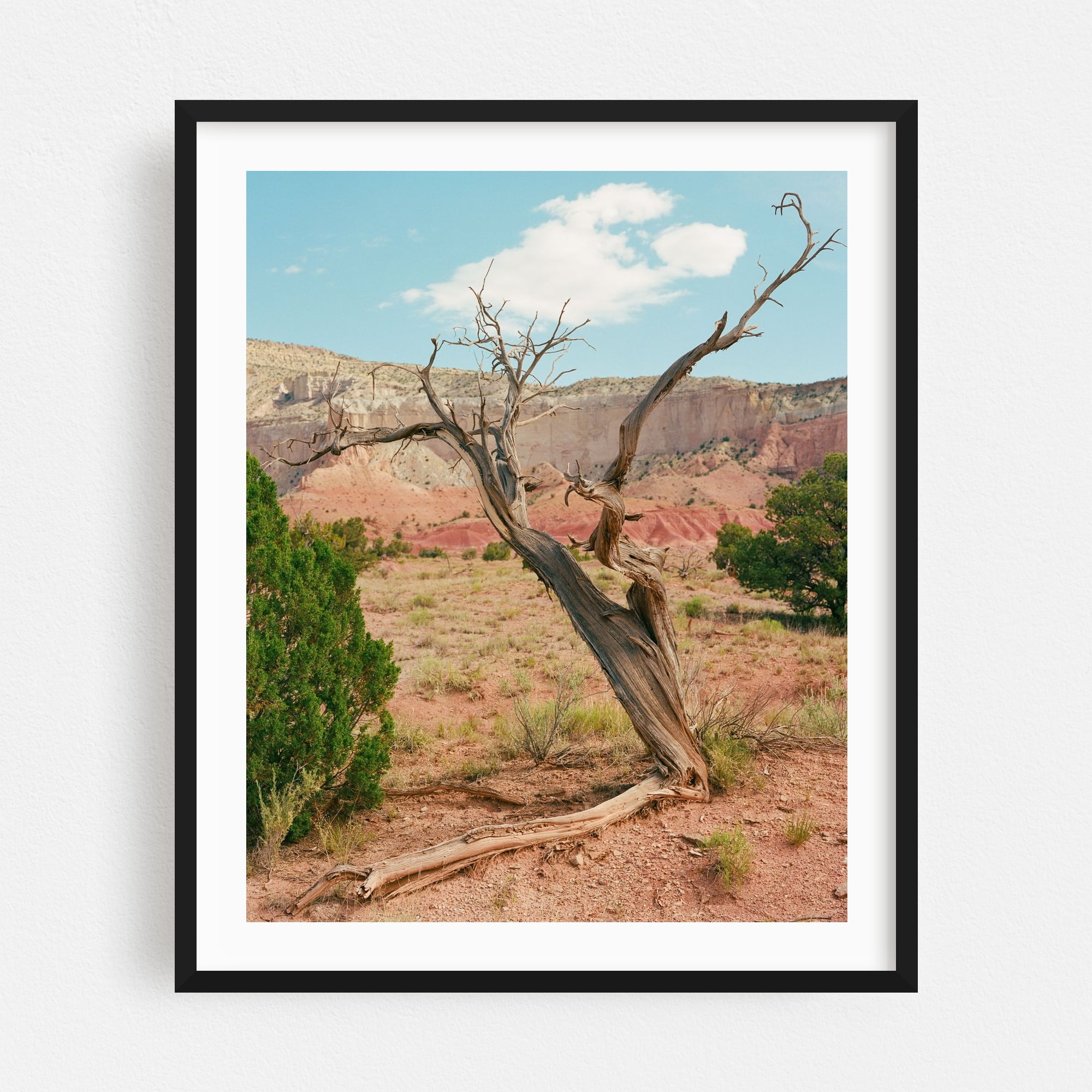 Ghost Ranch - Abiquiu New Mexico Photography Desert Nature Landscape ...