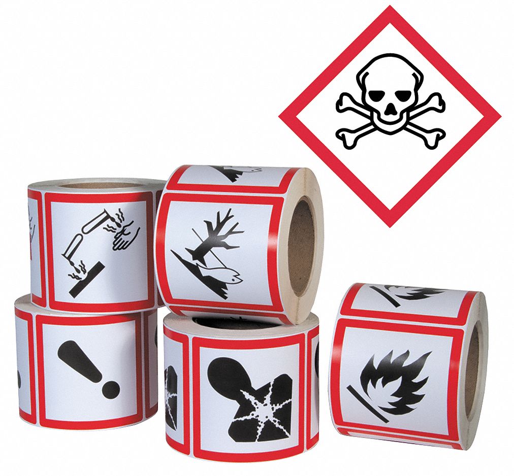 Ghs Safety Pictogram Label,Skull,PK500 GHS1264 - Walmart.com