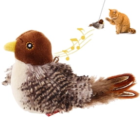 Squeaky Cat Toys
