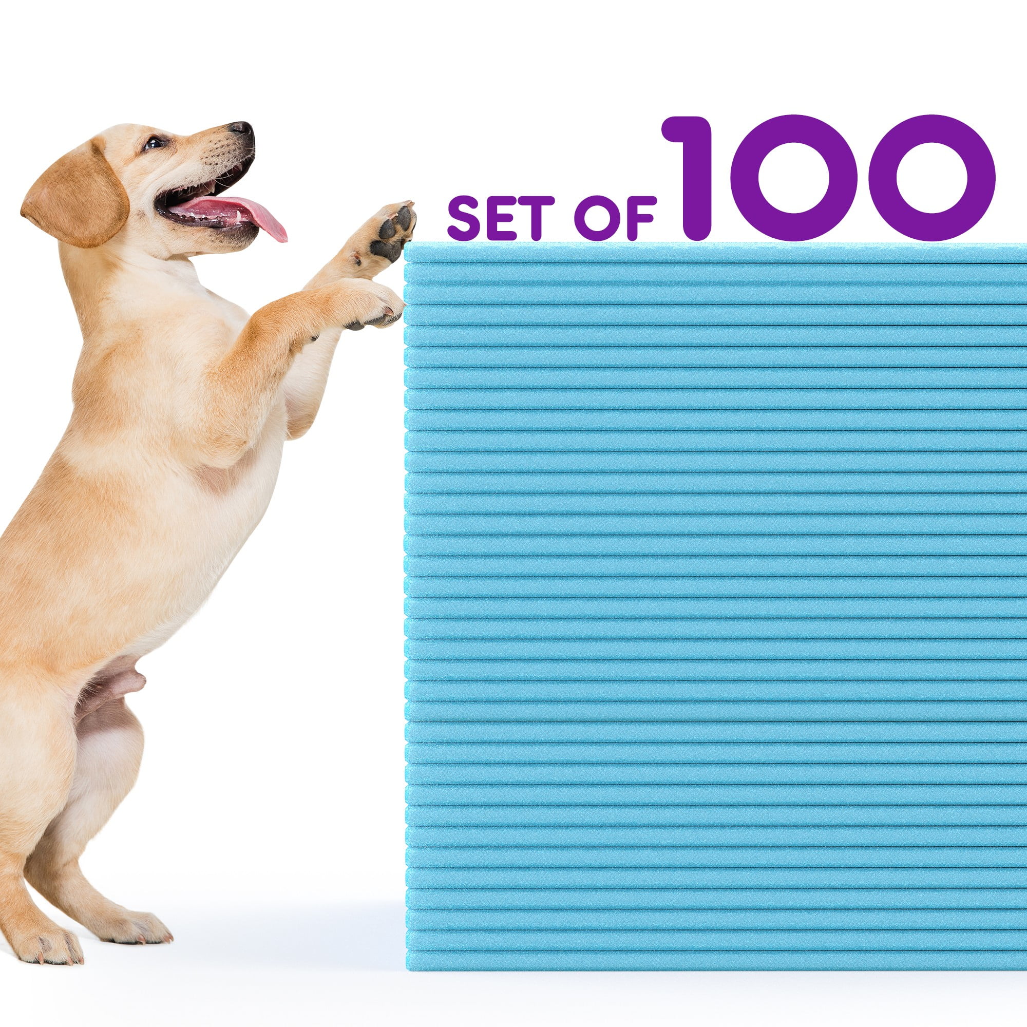 Gianna 100 Count Dog Pee Pads 22"x22", Disposable Training Puppy Pet ...