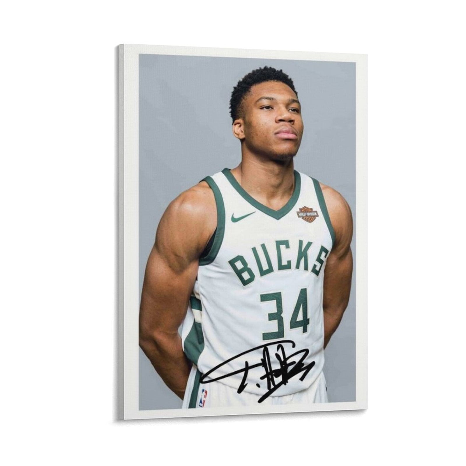 Giannis Antetokounmpo Greek Freak Signed Poster Art Wall Art Picture Painting Poster Canvas ...