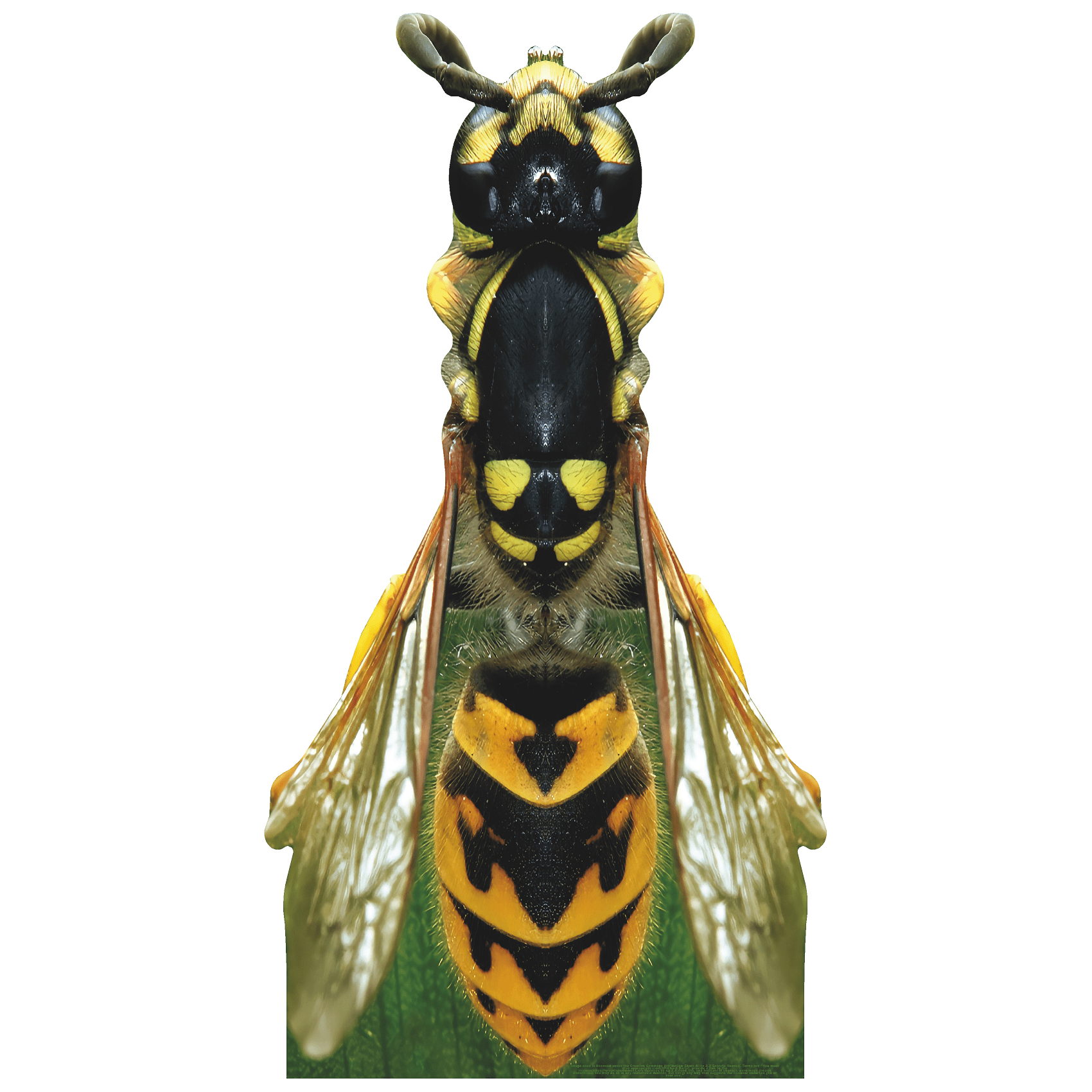 Giant 88 inch Wasp Cardboard Cutout Standee Standup - Walmart.com