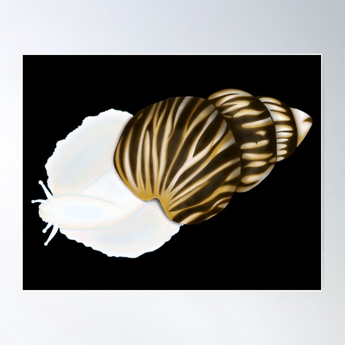 Giant African Land Snail Poster Wall Art, Modern Wall Decor For Living ...