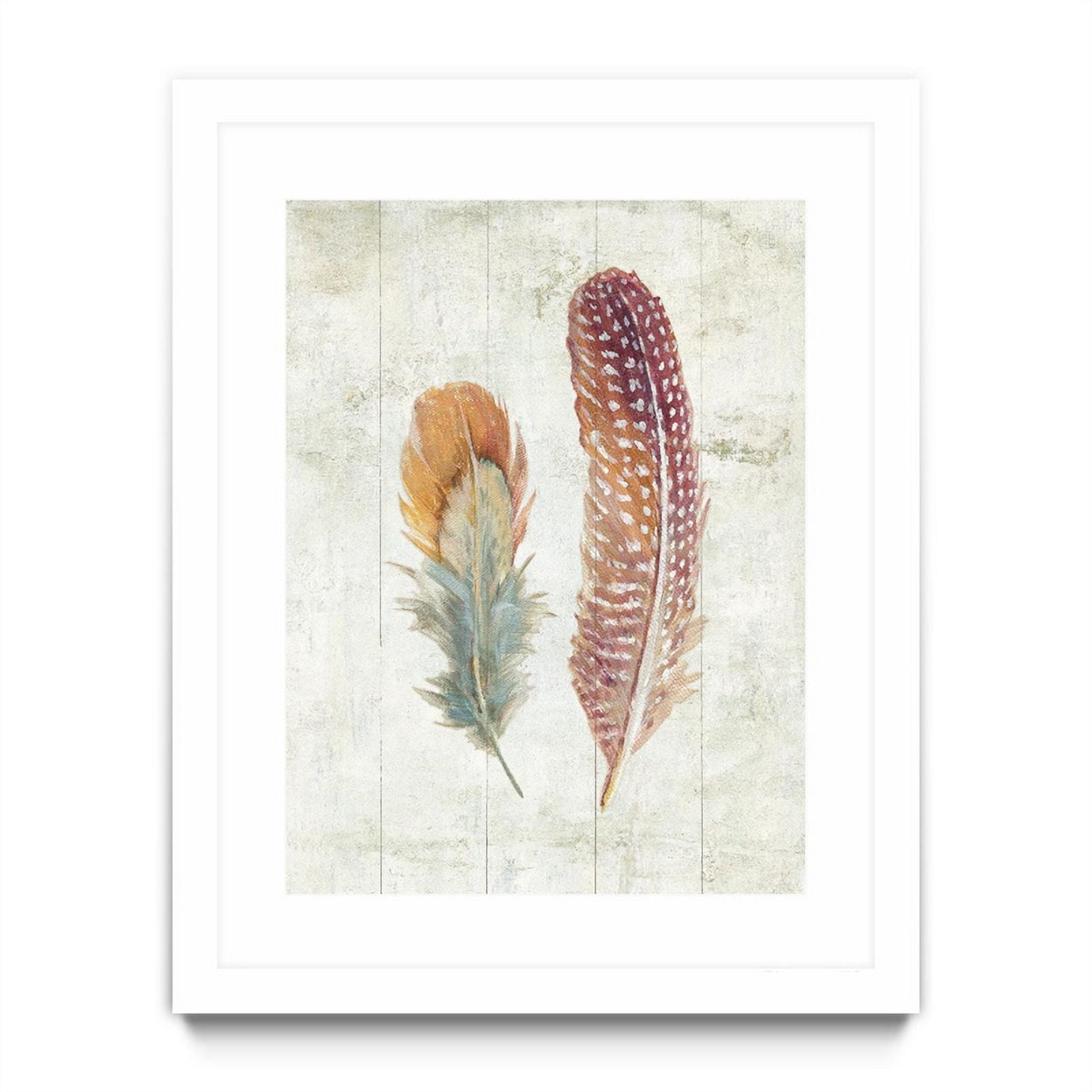 Giant Art 24x32 Natural Flora XI Bold Feathers Matted and Framed in Multi-Color - Walmart.com