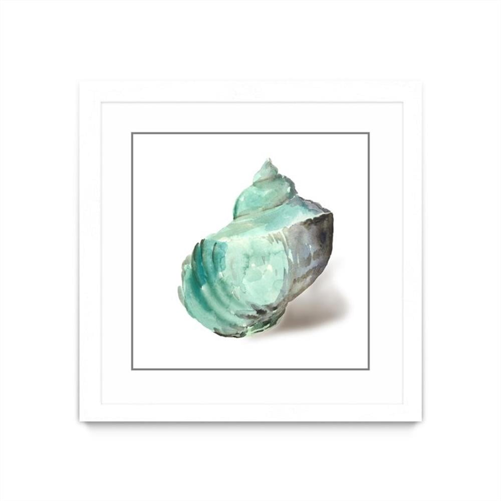 Giant Art 30x30 Shell in Mint Matted and Framed in Multi-Color ...
