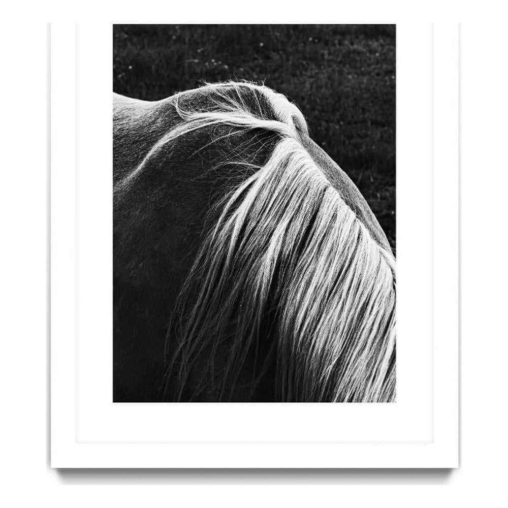 Giant Art 30x40 Horses VII Matted and Framed in Multi-Color - Walmart.com