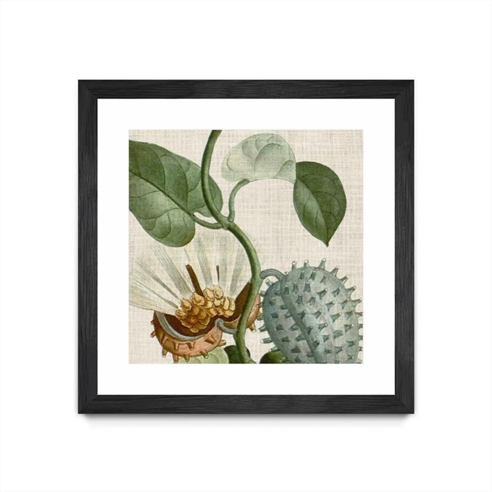 Giant Art 36x36 Cropped Turpin Tropicals II Matted and Framed in Green ...