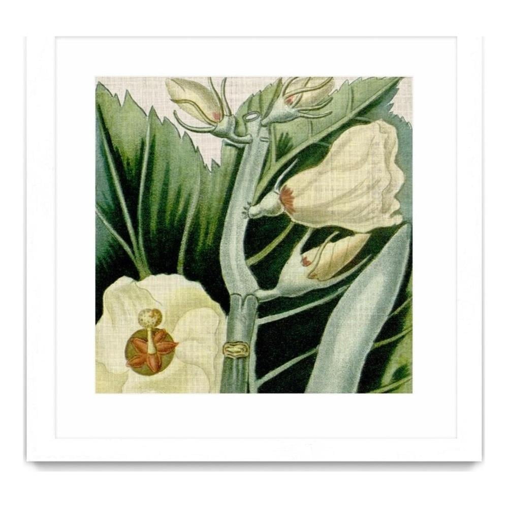 Giant Art 36x36 Cropped Turpin Tropicals III Matted and Framed in Multi ...