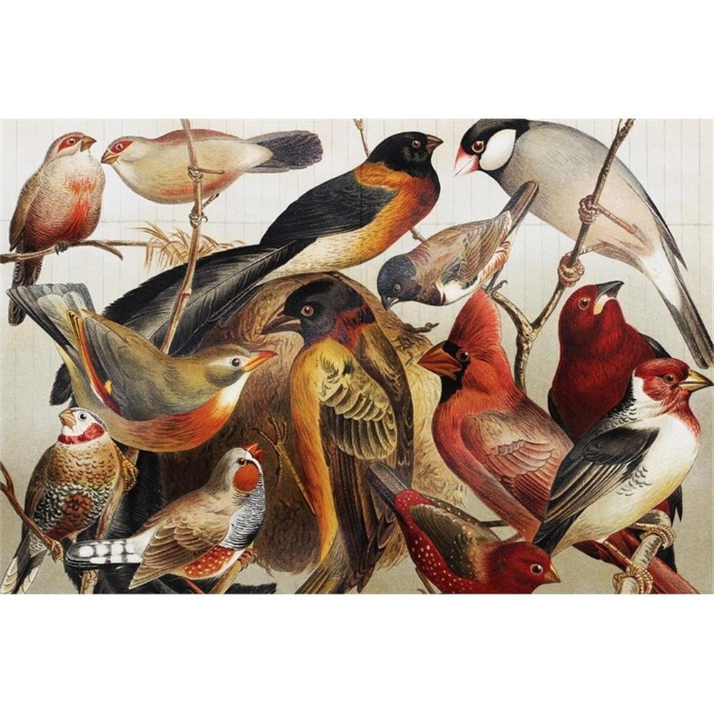 Giant Art 72x48 Collection II Fine Art Giant Canvas Print in Multi ...