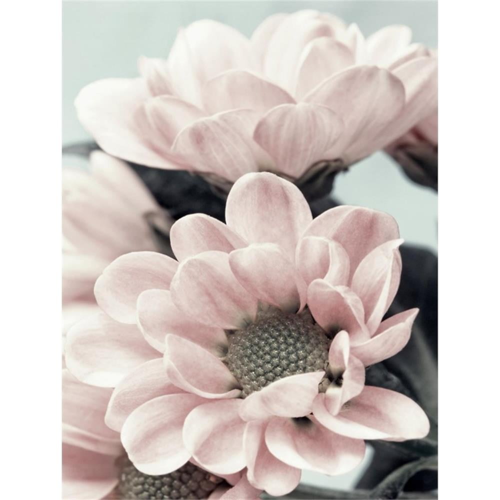 Giant Art 72x54 Opulent 3 Fine Art Giant Canvas Print in Pink - Walmart.com