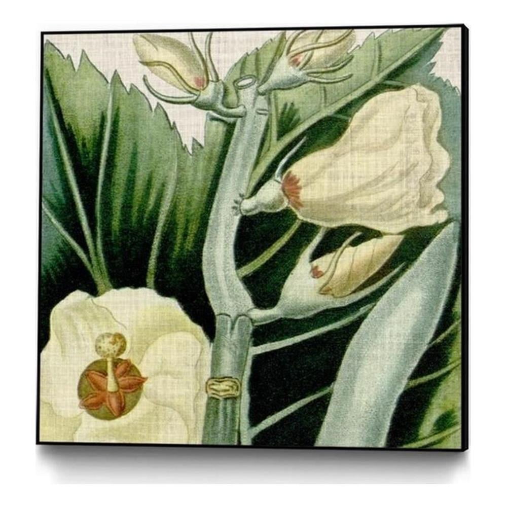 Giant Art Canvas 20x20 Cropped Turpin Tropicals III Framed in Multi ...