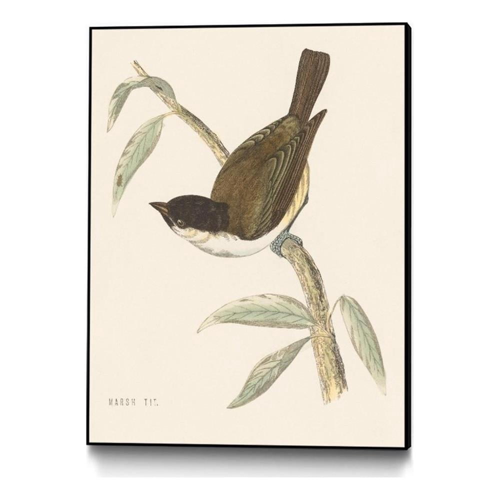 Giant Art Canvas 30x40 Engraved Birds II Framed in Multi-Color ...