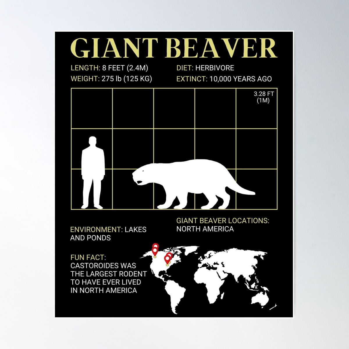 Giant Beaver Extinct Rodent Castoroides Paleontology Poster Wall Art ...
