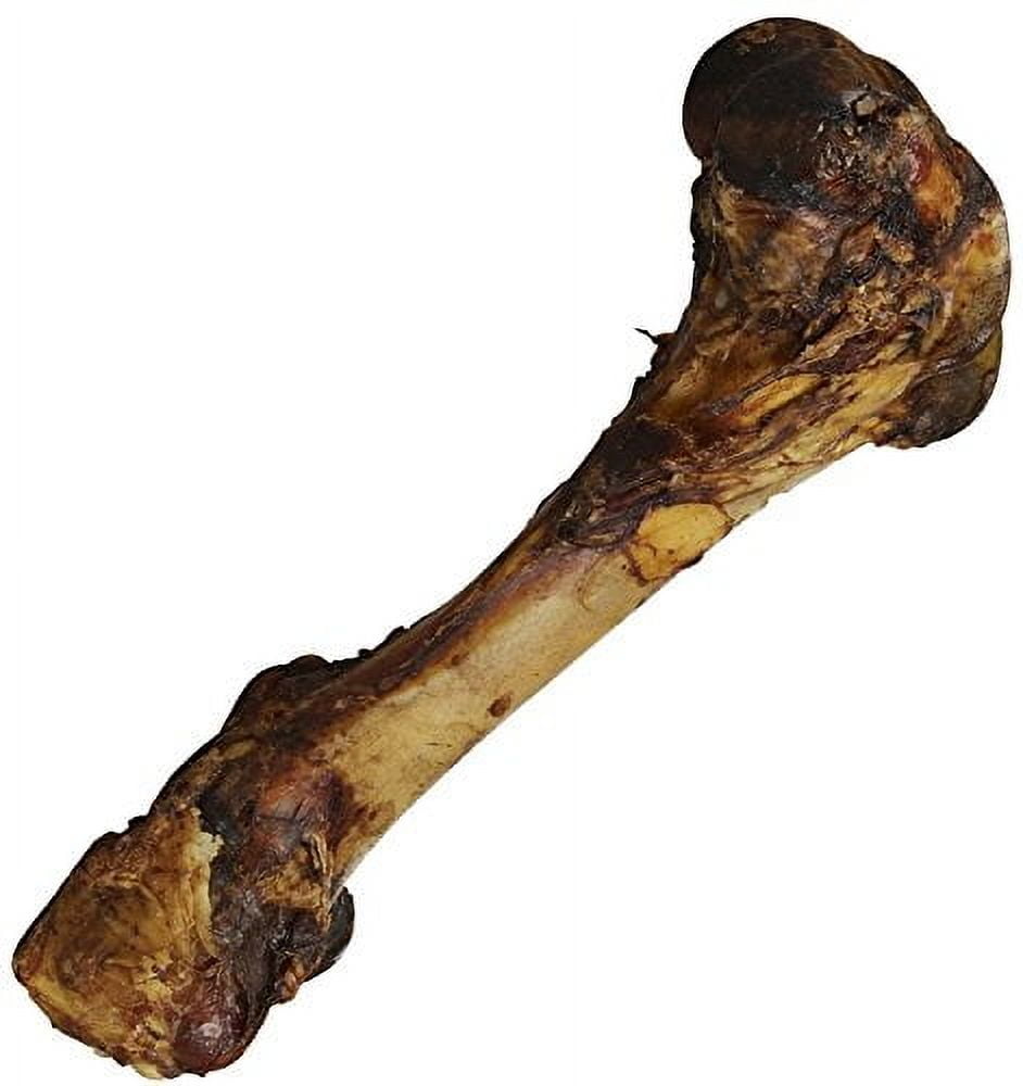 Giant Femur Bone For Dogs - Mammoth Dog Bone For Aggressive Chewers ...