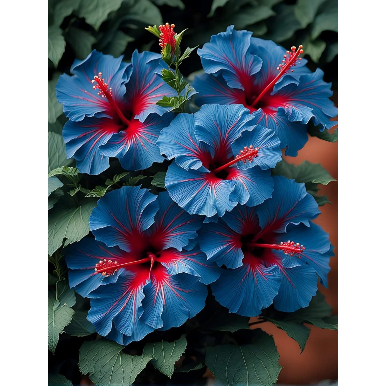 Giant Hibiscus For Planting Ideal for Gardening Deer Resistant ...