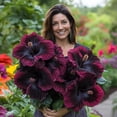 Giant Hibiscus For Planting Ideal for Gardening Easy to Plant Large ...