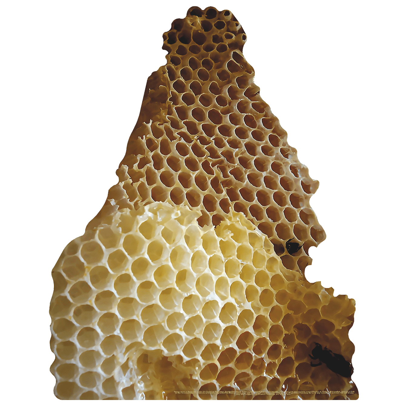 Giant Honey Comb with Bees Cardboard Cutout Standee Standup - Walmart.com