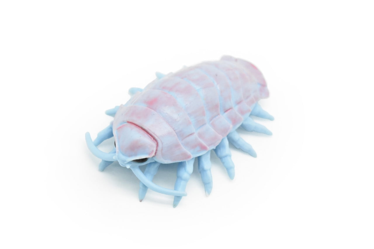 Giant Isopod, Very Nice Plastic Design, Hand Painted, Realistic Figure ...