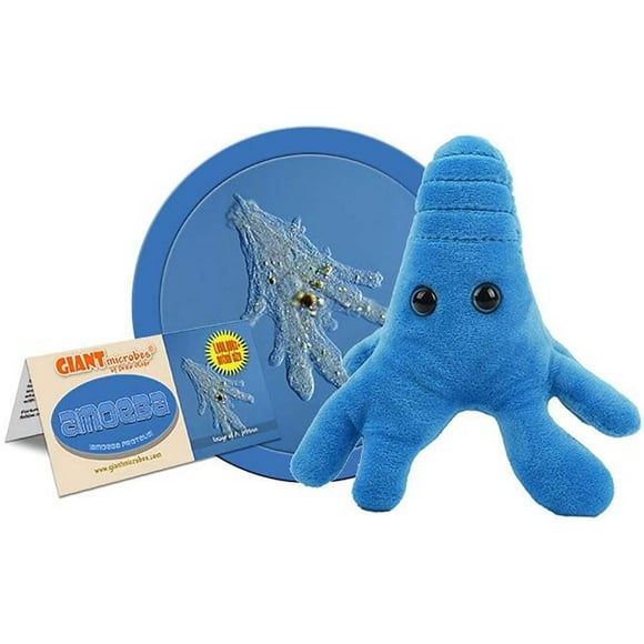 Giantmicrobes