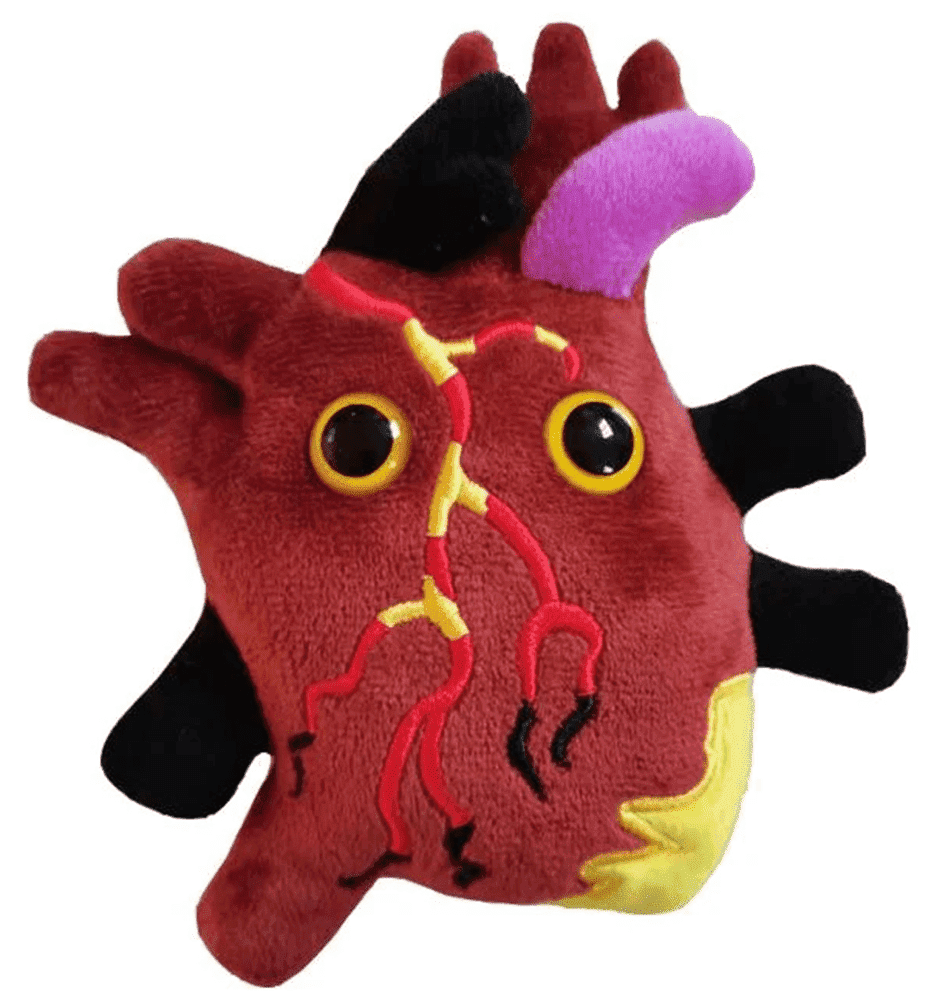 Giant Microbes Heart Disease Plush Toy – Giant Stuffed Microbe ...
