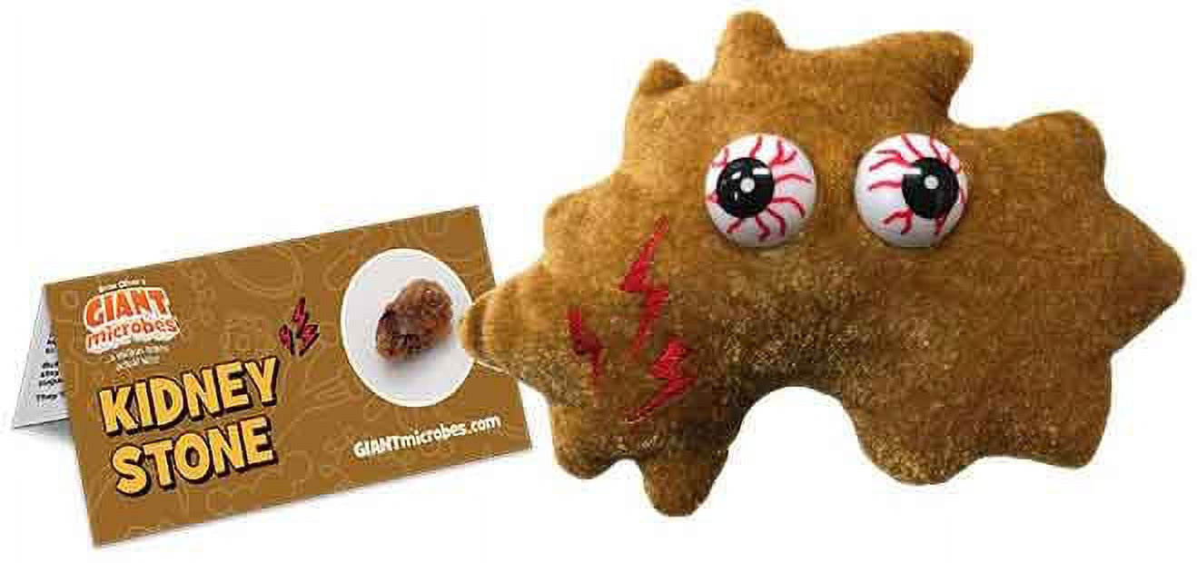 Realistic Giant Microbes Stuffed Kidney Stone Plush educational Toy ...