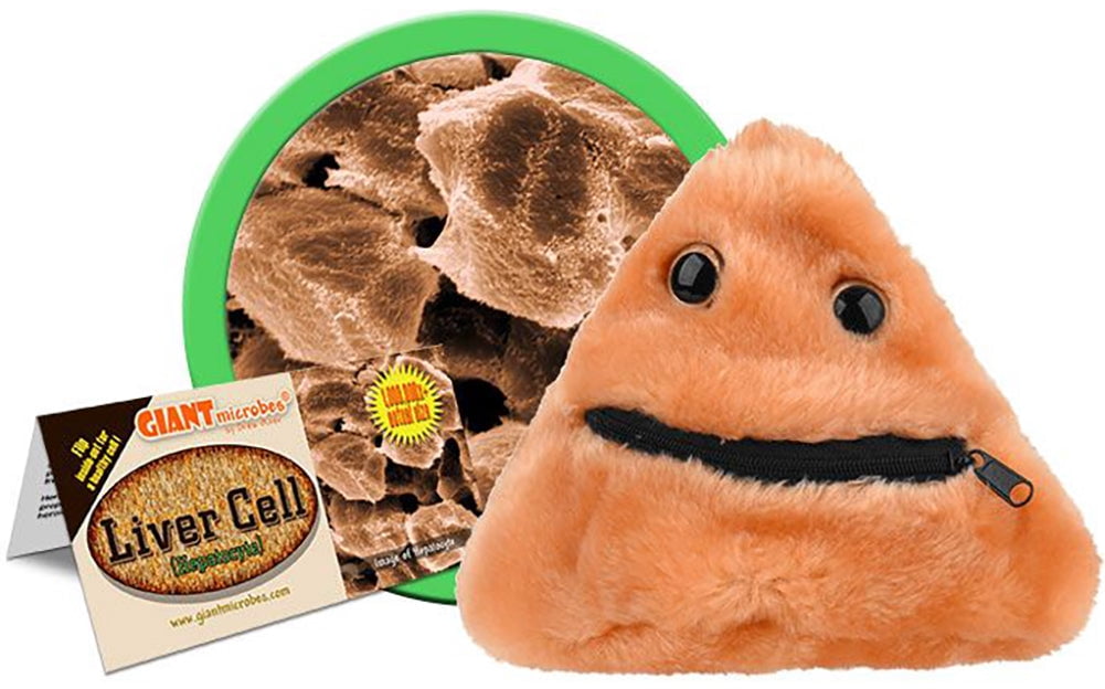 Giant Microbes Plush - Liver Disease (Cirrhosis) - Walmart.com