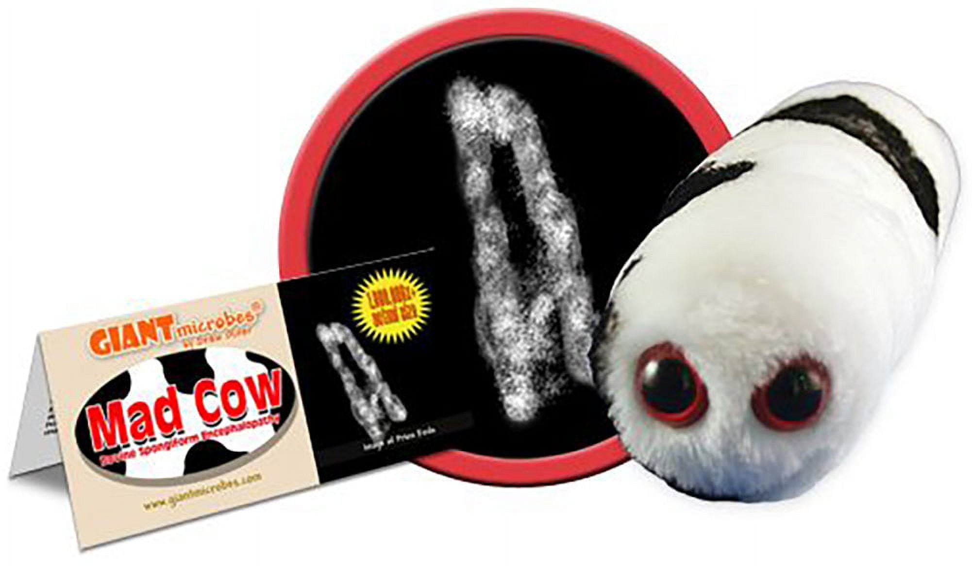 Giant Microbes Plush - Mad Cow (Bovine Spongiform Encephalopathy ...