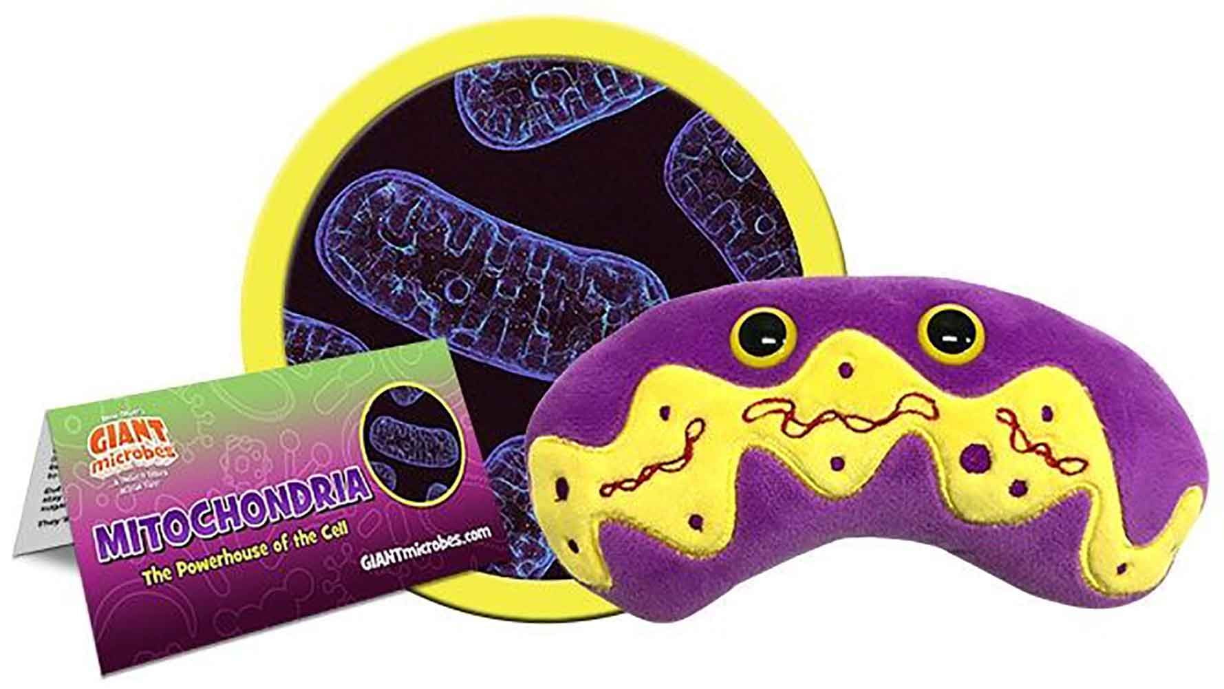 Giant Microbes Plush – Mitochondria | Fun Powerhouse Cell Organelle Toy ...