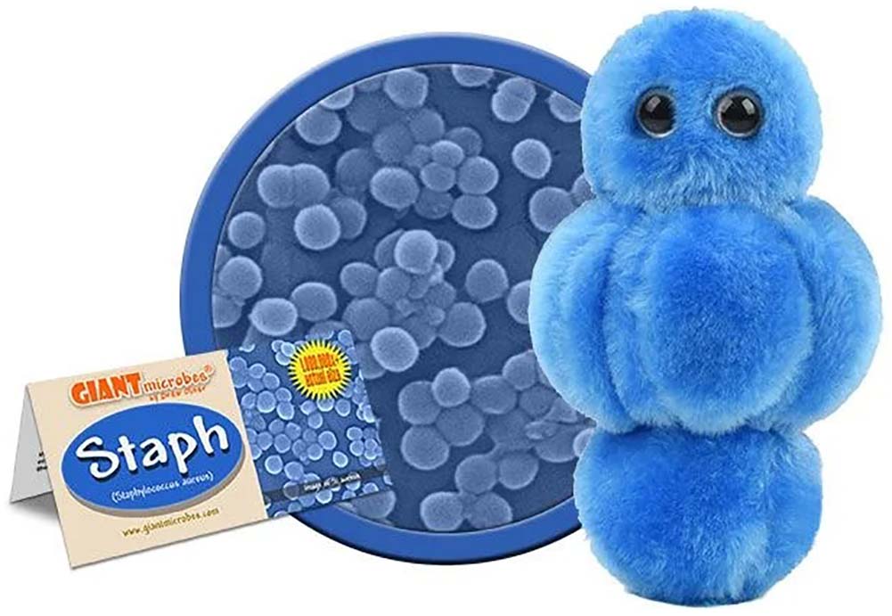 Giant Microbes Plush - Staph - Staphylococcus-Aureus - Walmart.com