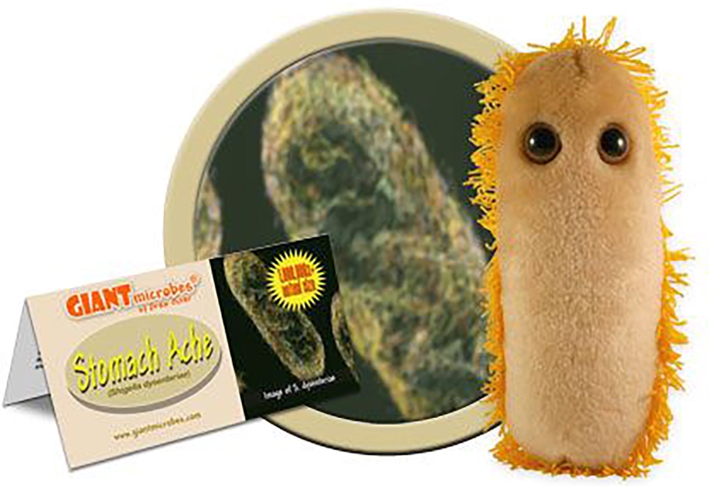 Giant Microbes Stomach Ache Plush Toy – Shigella Bacteria Stuffed ...