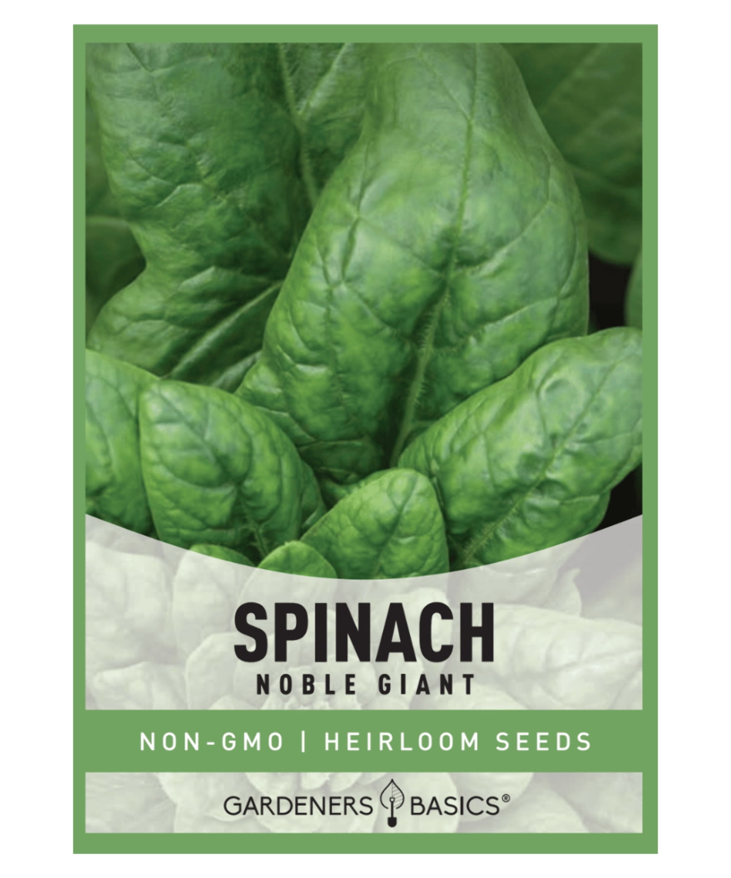 Giant Noble Spinach Seeds - Walmart.com
