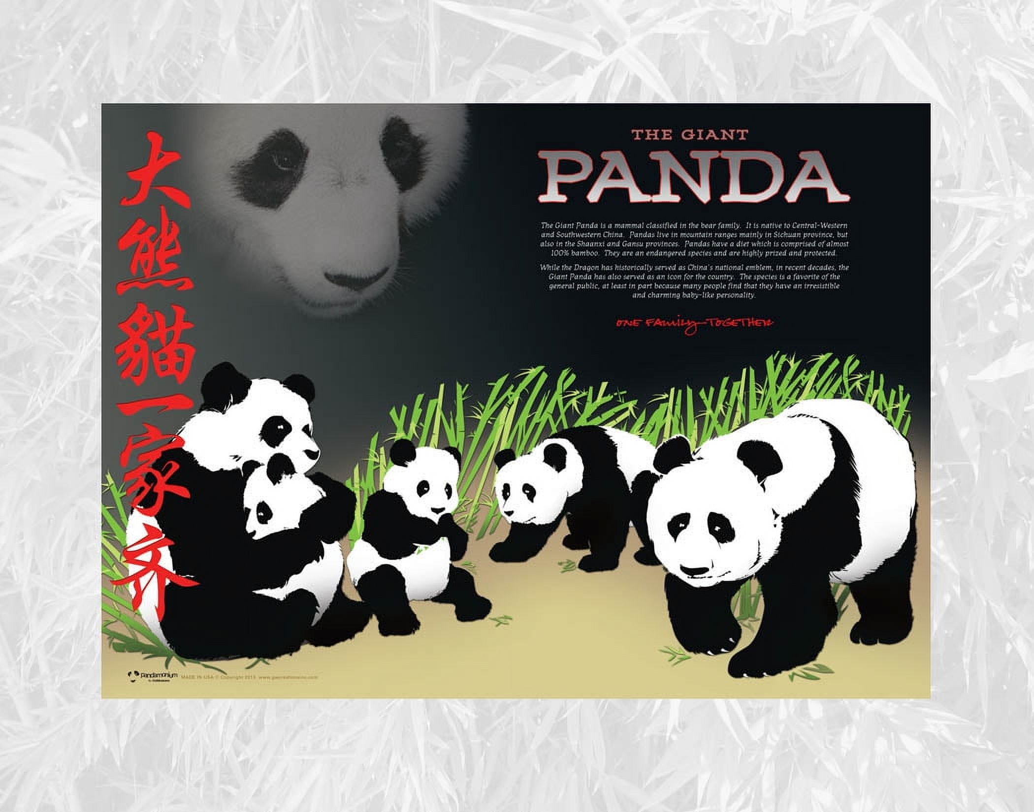 Giant Panda Asian Oriental Chinese Panda Family 11" x 14" Poster, One ...