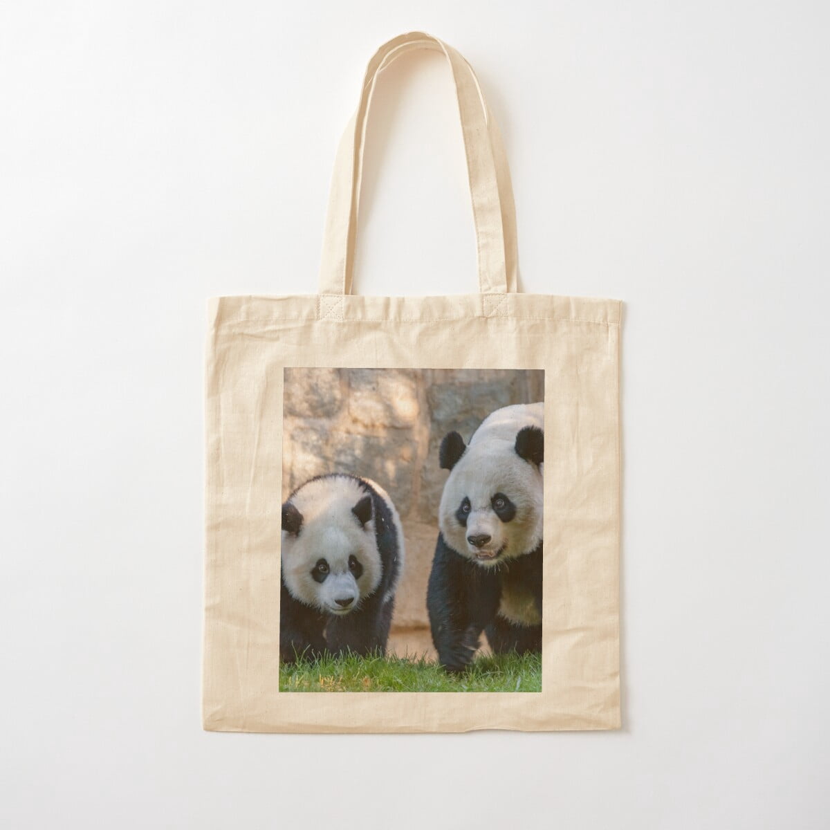 Giant Pandas Xiao Qi Ji And Mei Xiang At The Smithsonian'S National Zoo ...
