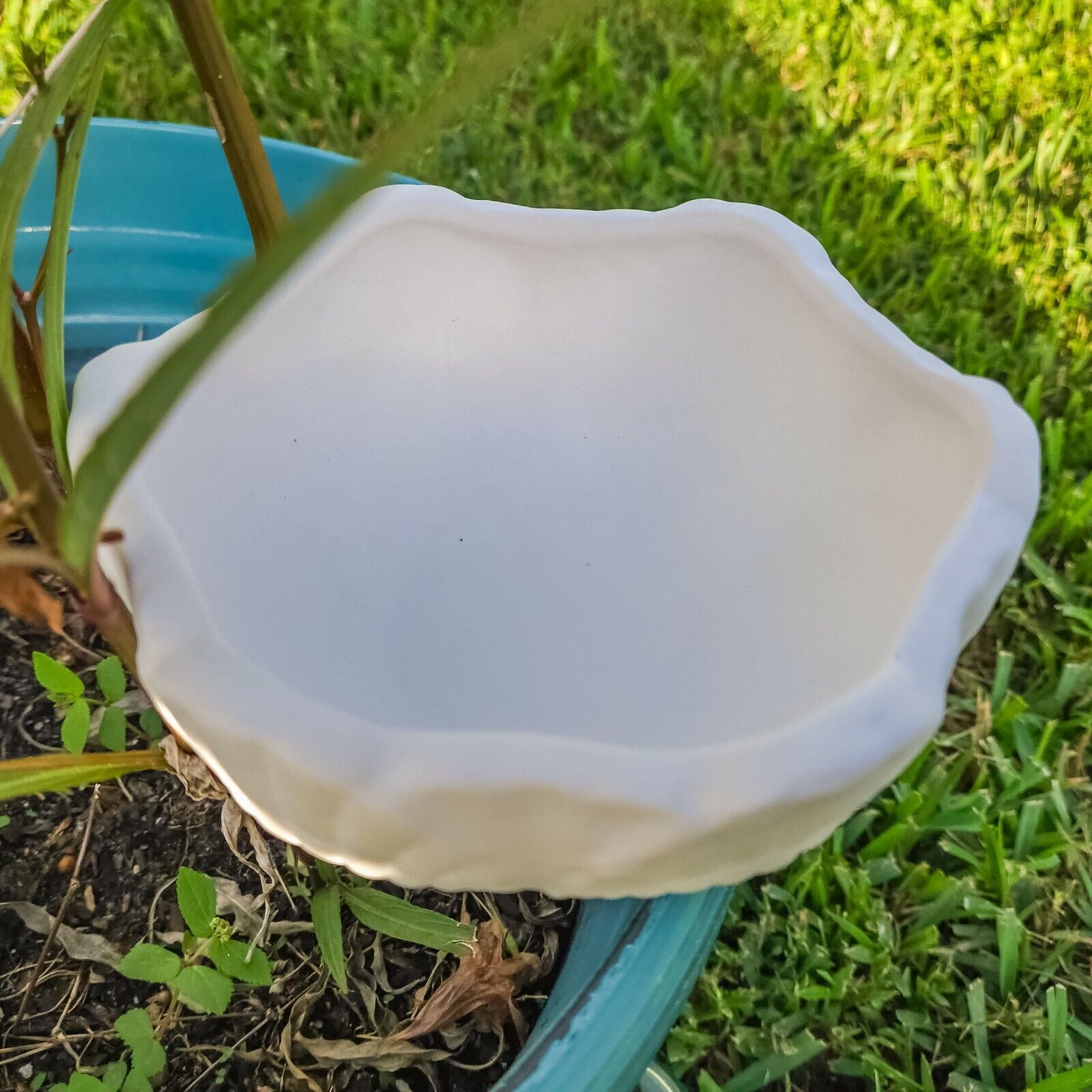 Giant Seashell Bowl 6" IN STOCK Ceramic Bisque Ready To Paint Pottery ...