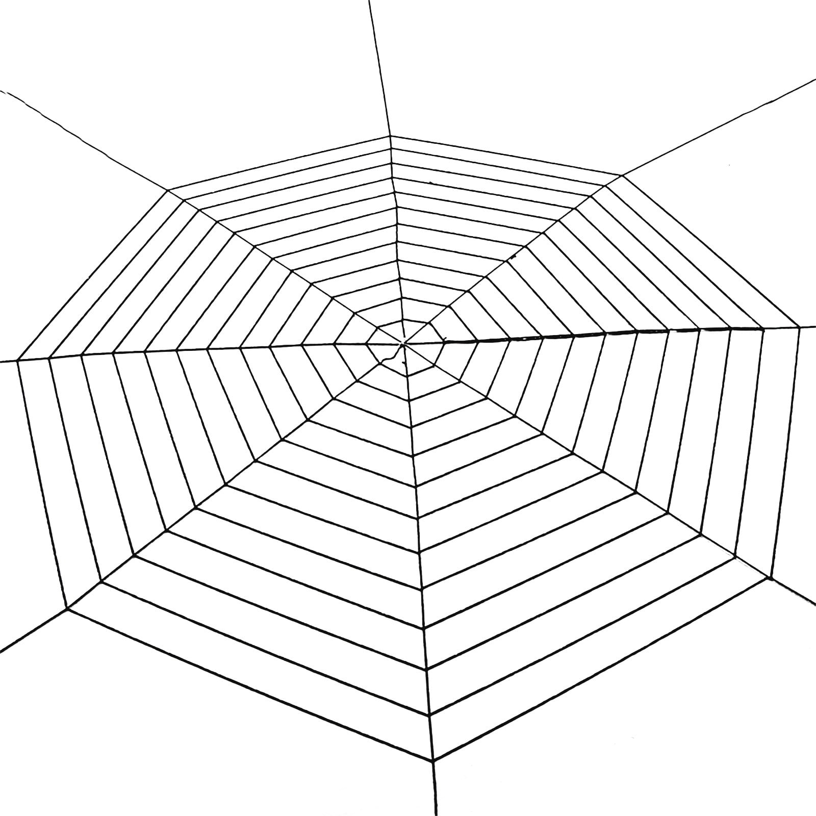 Giant Spider Web Halloween Decorations - Realistic Spider String Rope ...